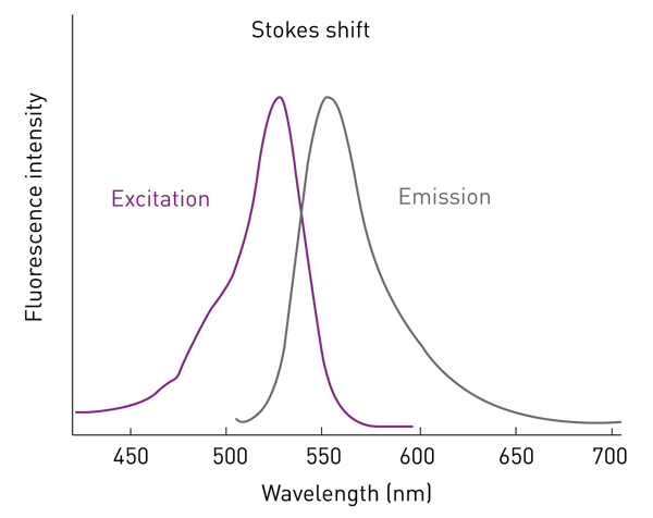 Fluorescence Intensity Measurements | BMG LABTECH